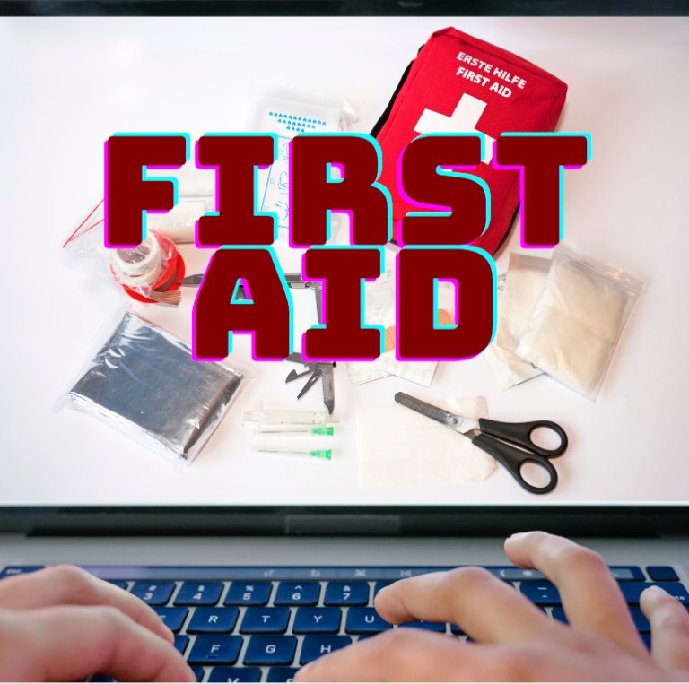 Adult First Aid/CPR/AED Online Training Course – ShoenSafety LLC